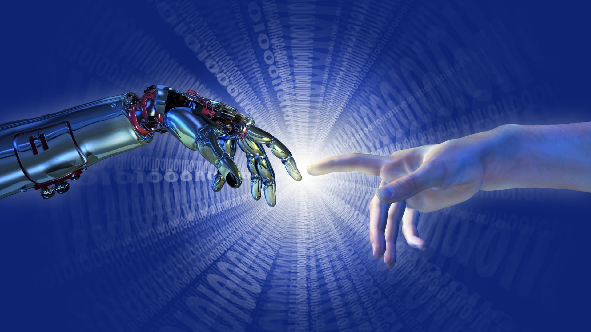 Success Stories Case Studies